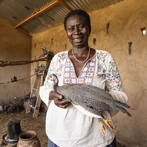 Elevages sans frontières | Association de solidarité internationale